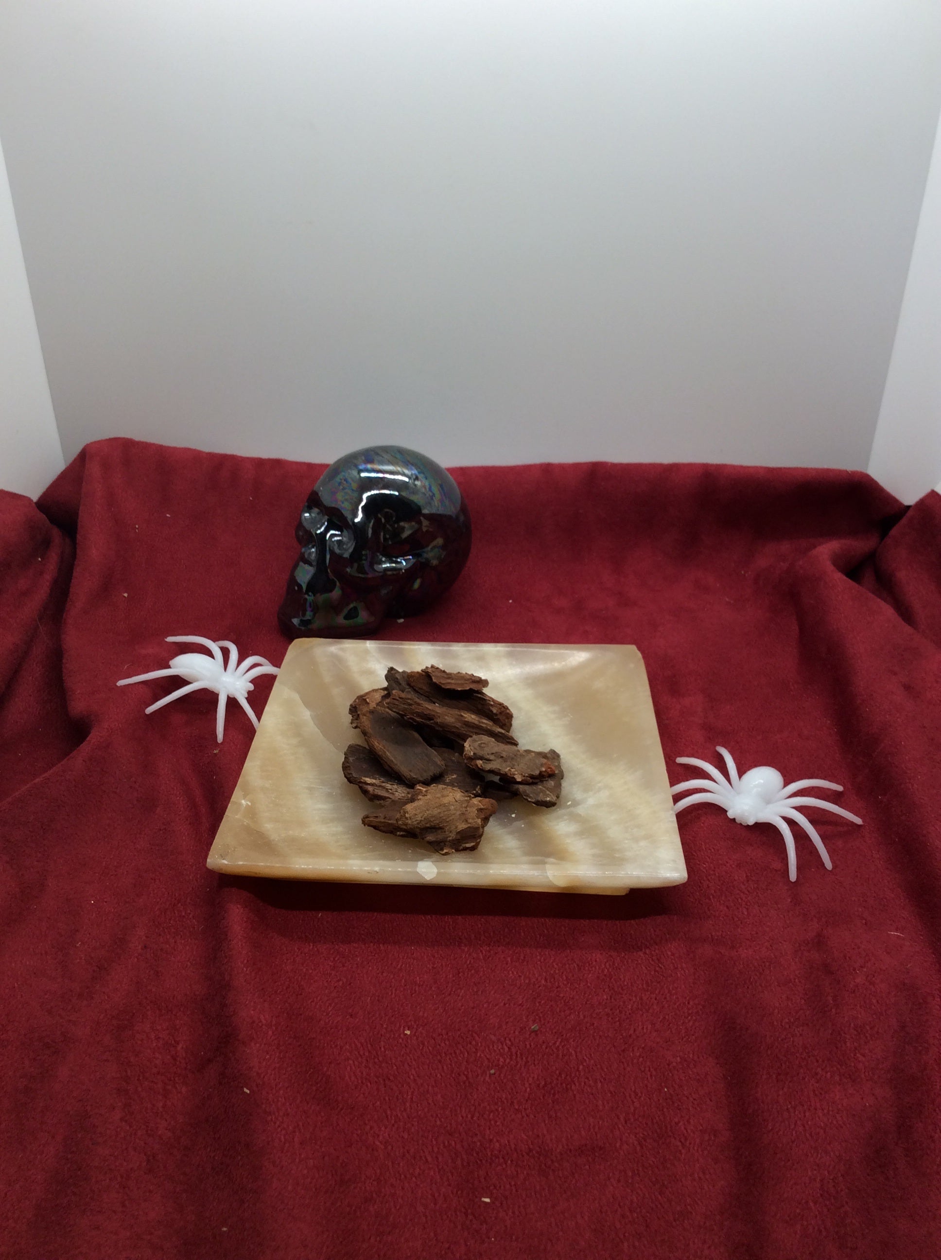 Jezebel Root* | Mama Mo's Voodoo Shop 920 N Maple St. Bloomington IN ...